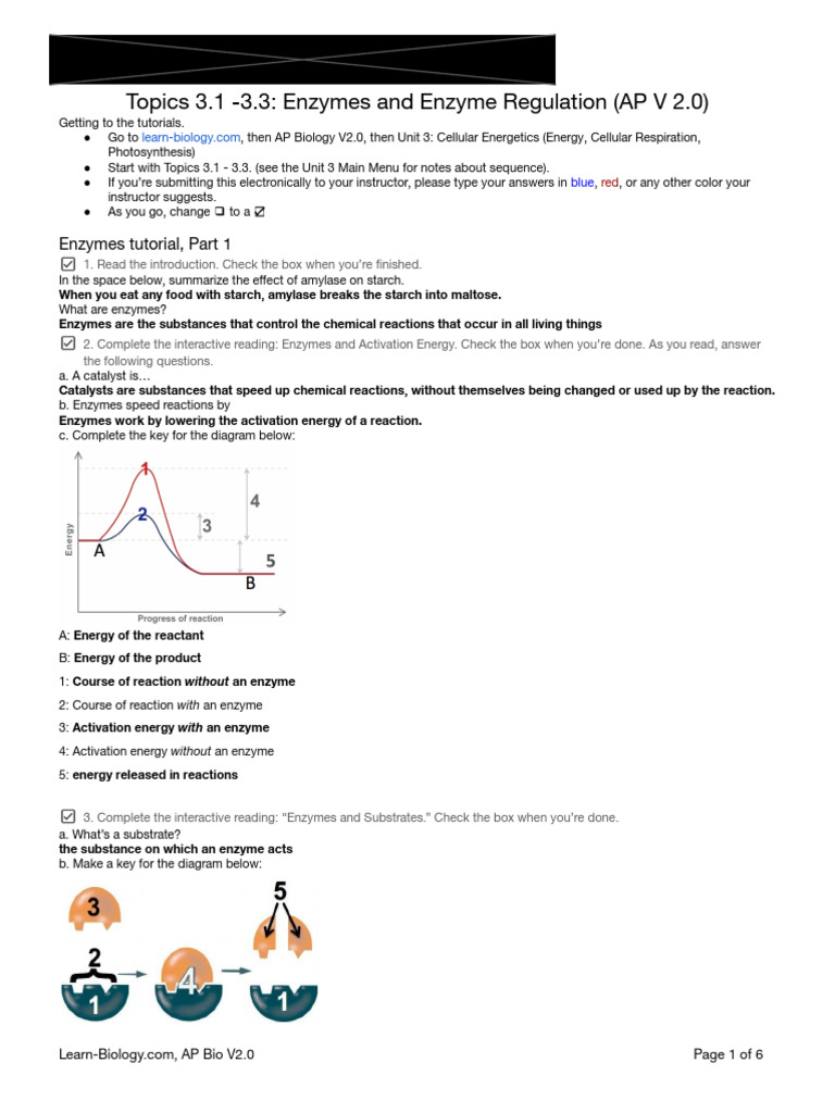 Enzyme Function and Regulation Guide | PDF | Enzyme | Enzyme Inhibitor