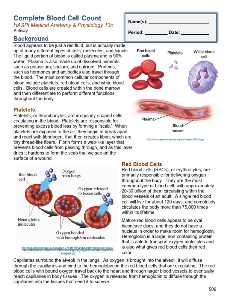 HASPI_-CBC | PDF | White Blood Cell | Granulocyte