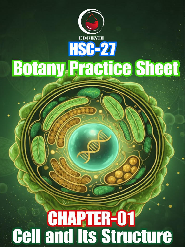 Prectice Sheet 27 B-1 | PDF