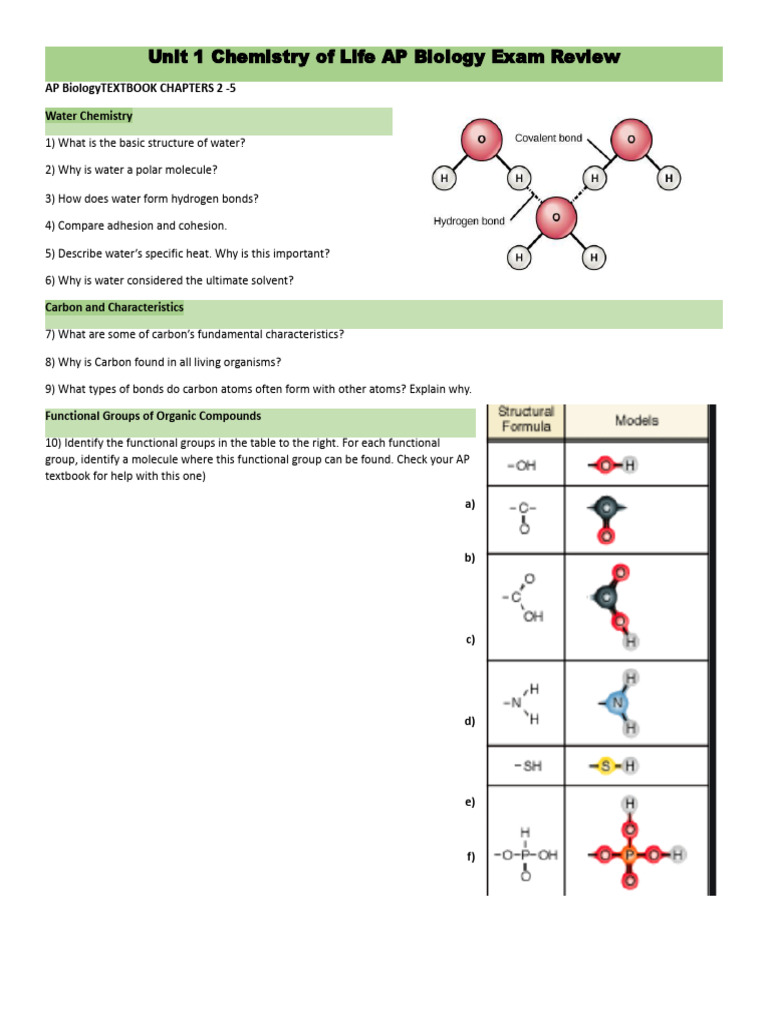 AP Biology Unit 1: Chemistry of Life Review | PDF | Acid | Biochemistry