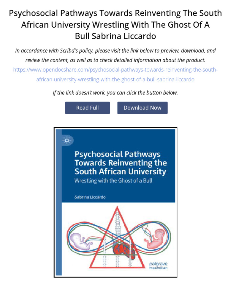 Psychosocial Pathways Towards Reinventing the South African University ...
