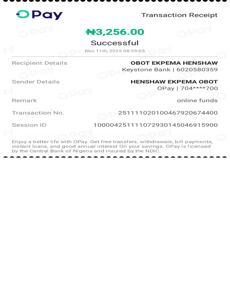 Successful OPay Transaction Receipt | PDF