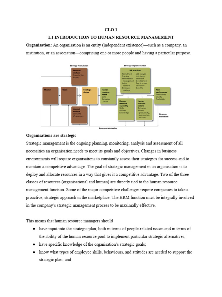 Strategic Human Resource Management Overview | PDF | Cost Of Living ...