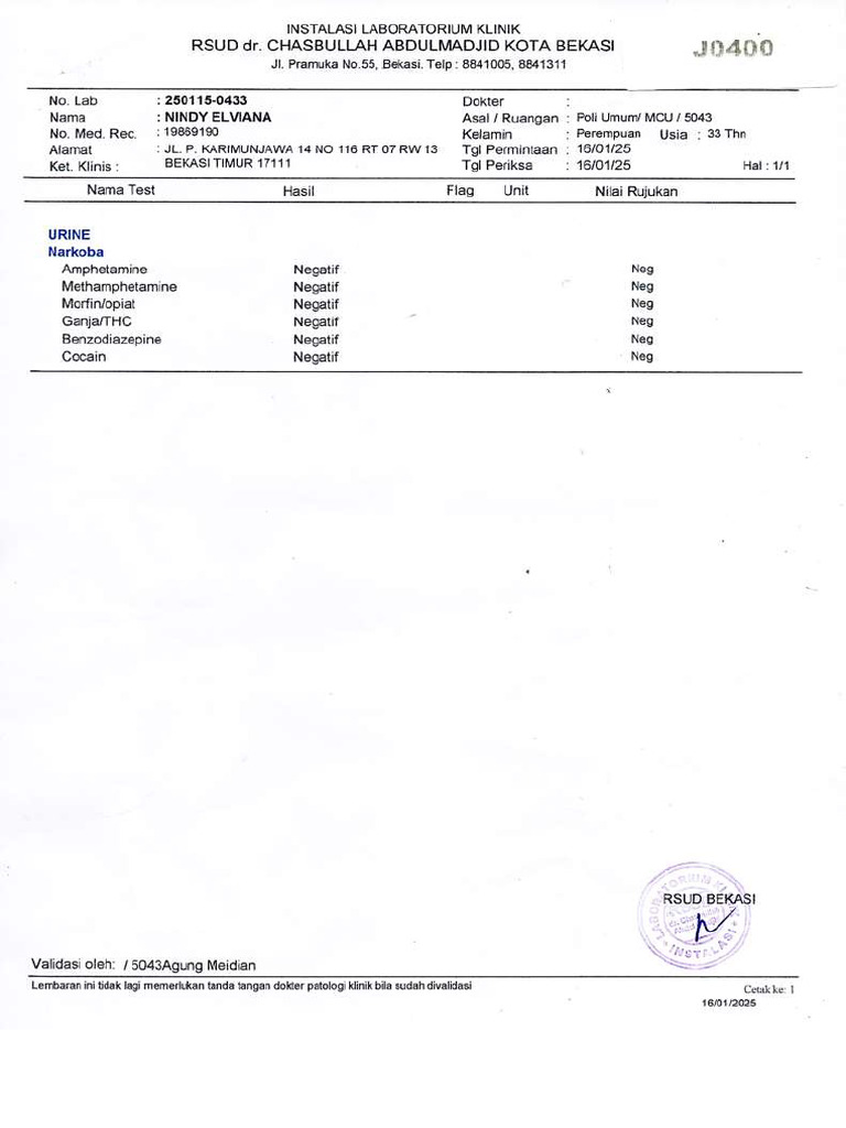 HASIL LAB | PDF