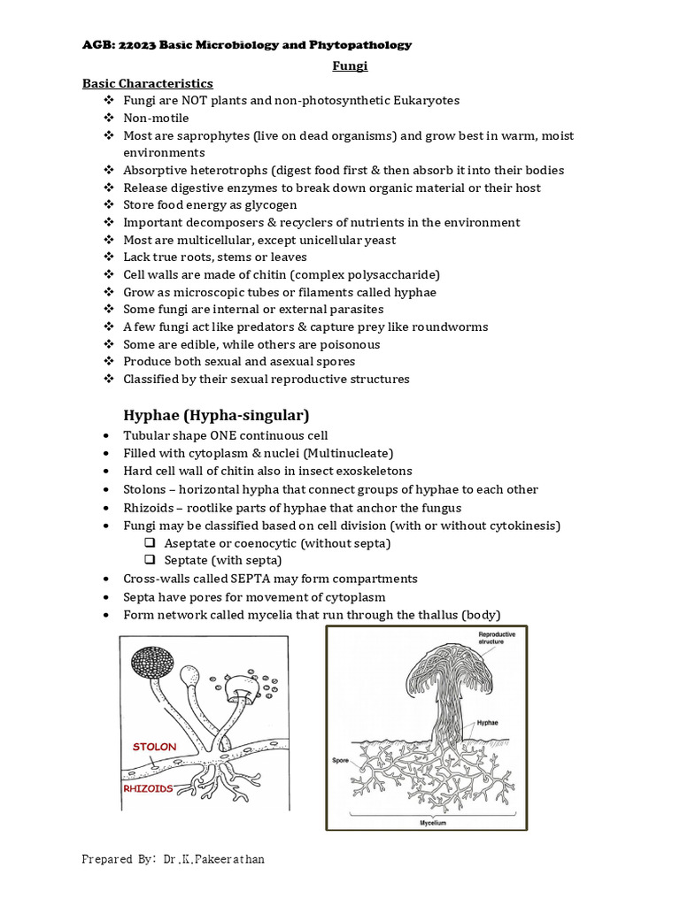 Fungi: Characteristics and Classification | PDF | Fungus | Sexual ...