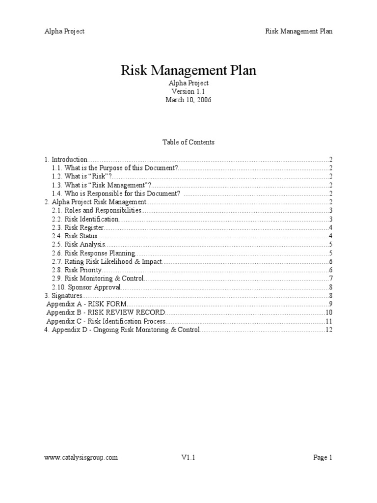 Sample Risk Plan 3 | PDF