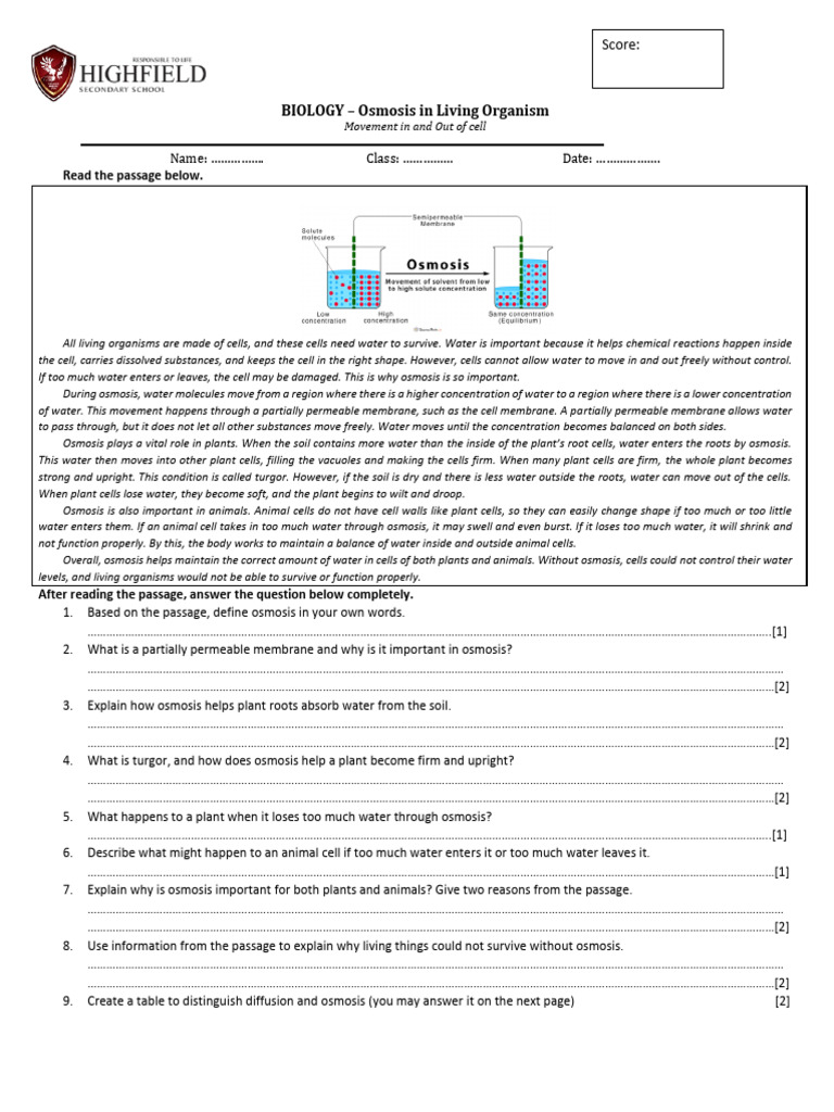 WS G7_Movement in and Out of Cell 12 | PDF | Osmosis | Cell (Biology)