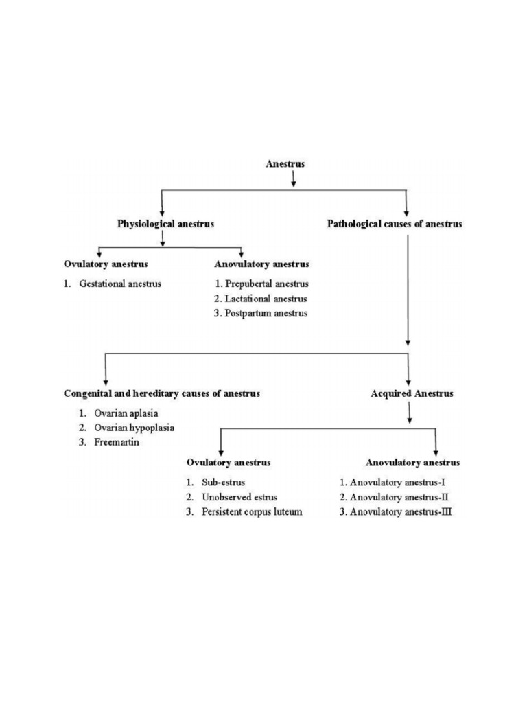 Anestrus and Its Management | PDF | Puberty | Ovary