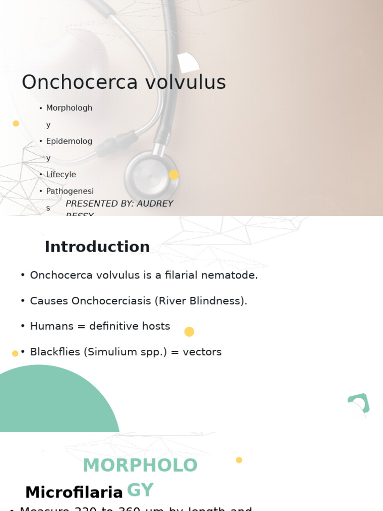 Onchocerca volvulus Morphology, Epidemiology, Transmission, Life Cycle ...