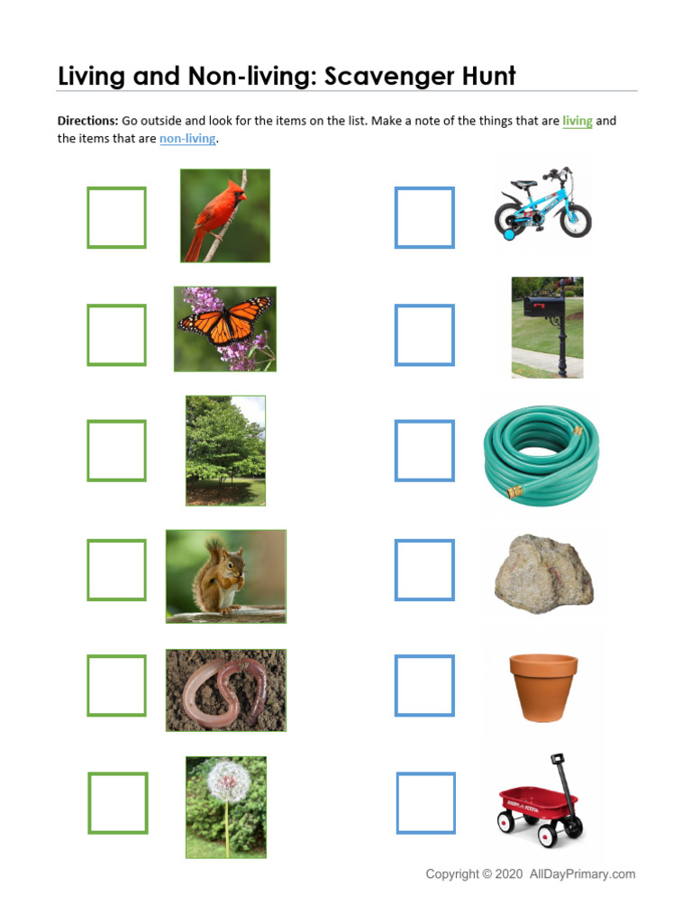 Living Nonliving Scavenger Hunt Photos Only | PDF