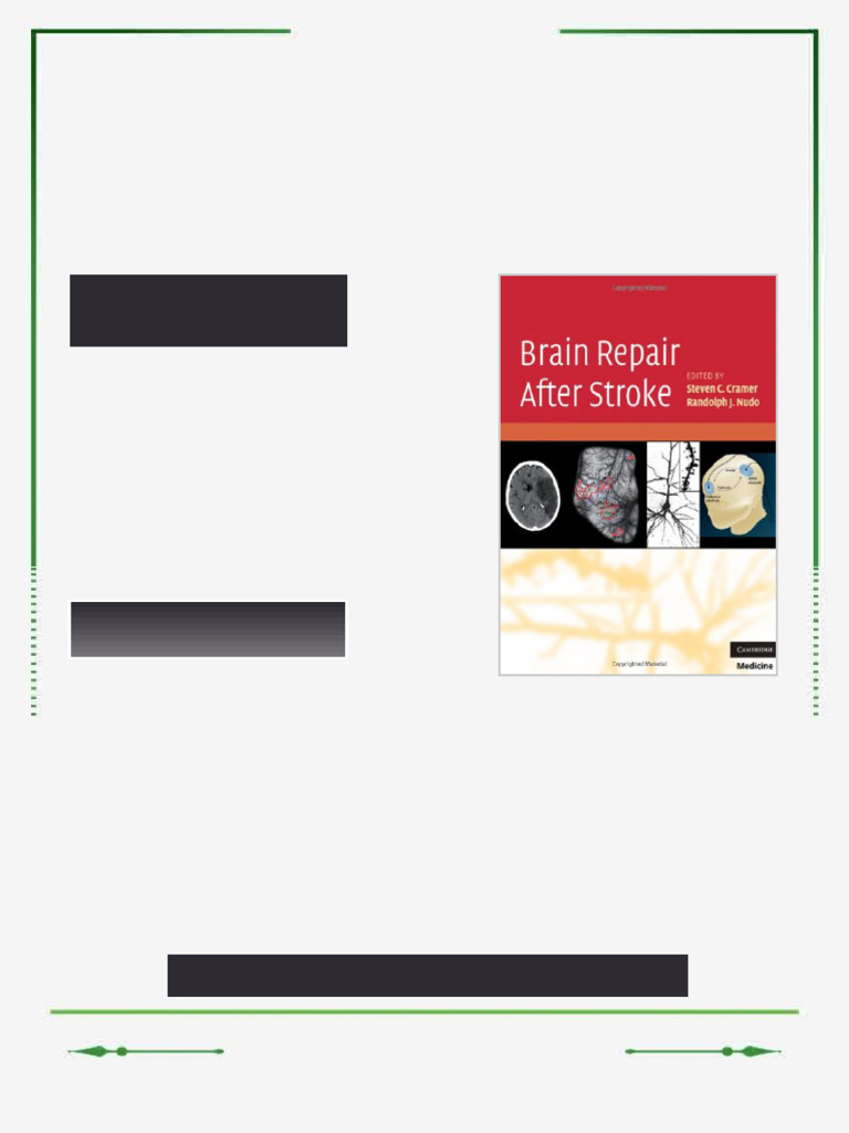Brain Repair After Stroke 1st Edition Steven C. Cramer Md ebook ...