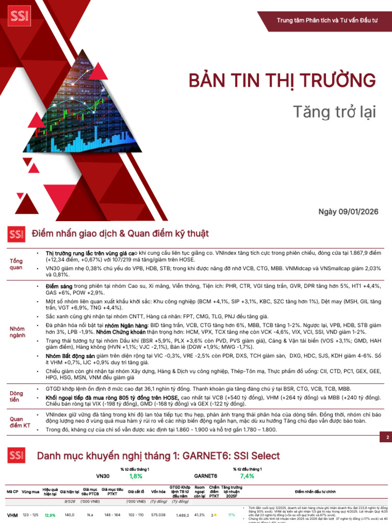 Ban Tin Thi Truong 260109 | PDF
