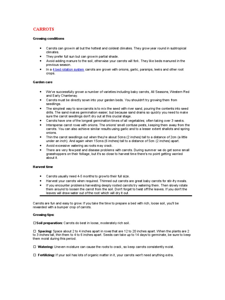 Carrots | PDF | Carrot | Onion