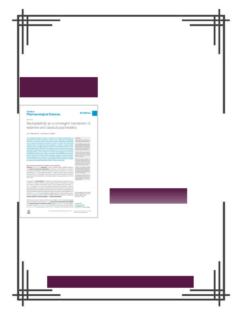 Neuroplasticity as a convergent mechanism of ketamine and classical ...