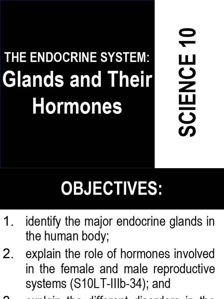 Endocrine System | PDF | Endocrine System | Hormone