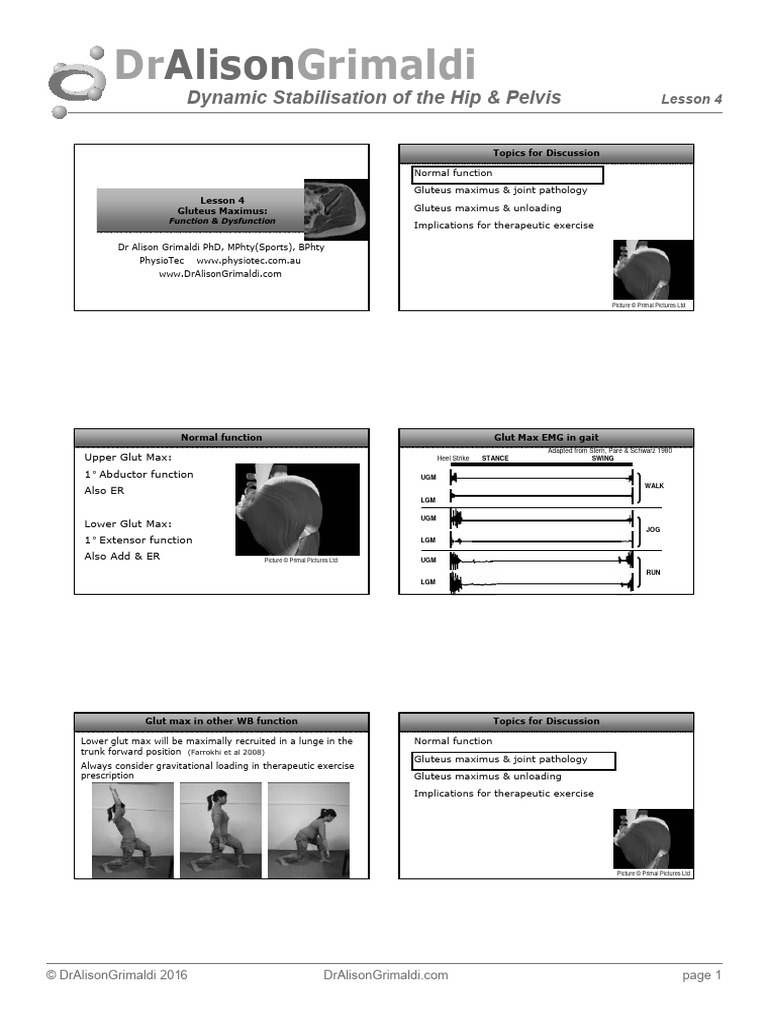 Gluteus Maximus Function in Hip OA | PDF | Hip | Lower Limb Anatomy