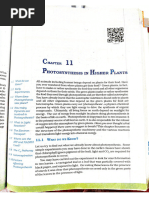 Chapter 18 Neural Control and Coordination | PDF