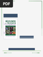 A History of Modern Israel 2nd Edition Colin Shindler ebook digital ...