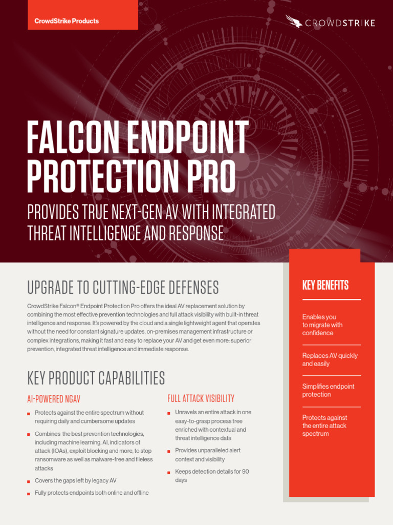 Falcon-Pro-Bundle-Data-Sheet2 | PDF | Computer Security | Security