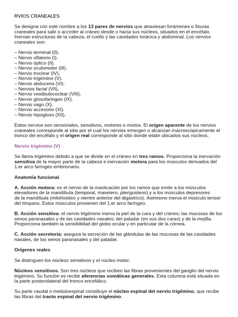 NERVIO TRIGEMINO | PDF | Cabeza y cuello humanos | Sistema nervioso