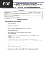 SCR Report and Presentation Guidelines | PDF