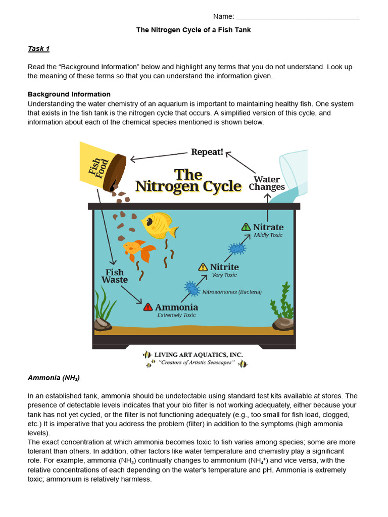 Activity_ the Nitrogen Cycle of a Fish Tank | PDF | Ammonia | Aquarium