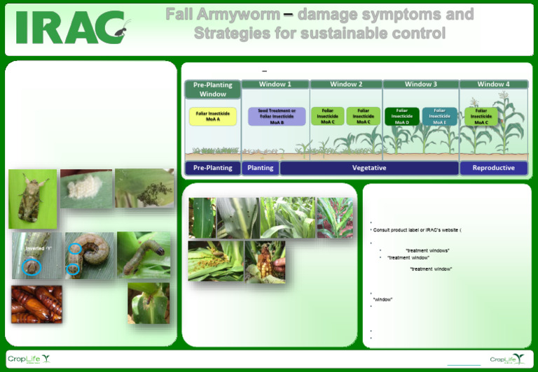 Fall Armyworm Control Strategies Guide | PDF | Maize | Insects