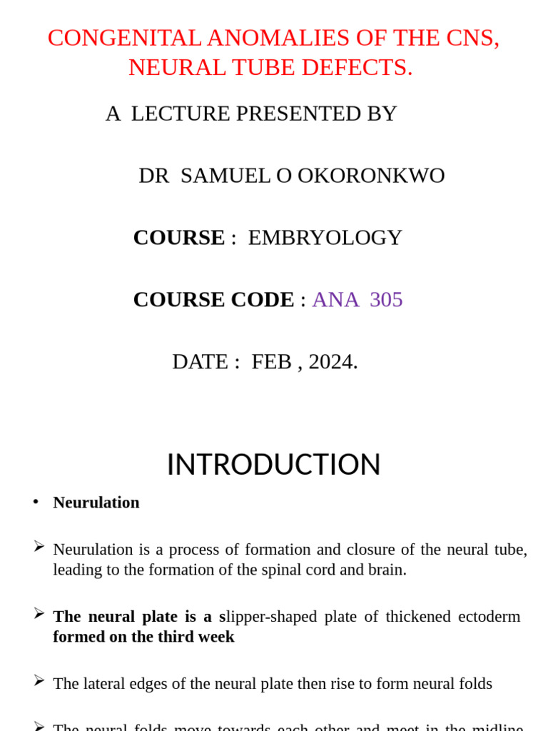 Congenital Anomalies of the CNS, Neural Tube | PDF | Diseases And ...