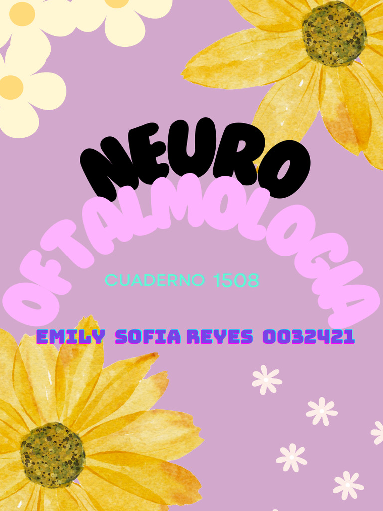 Cuaderno Emily Reyes | PDF | Ojo humano | Percepción visual