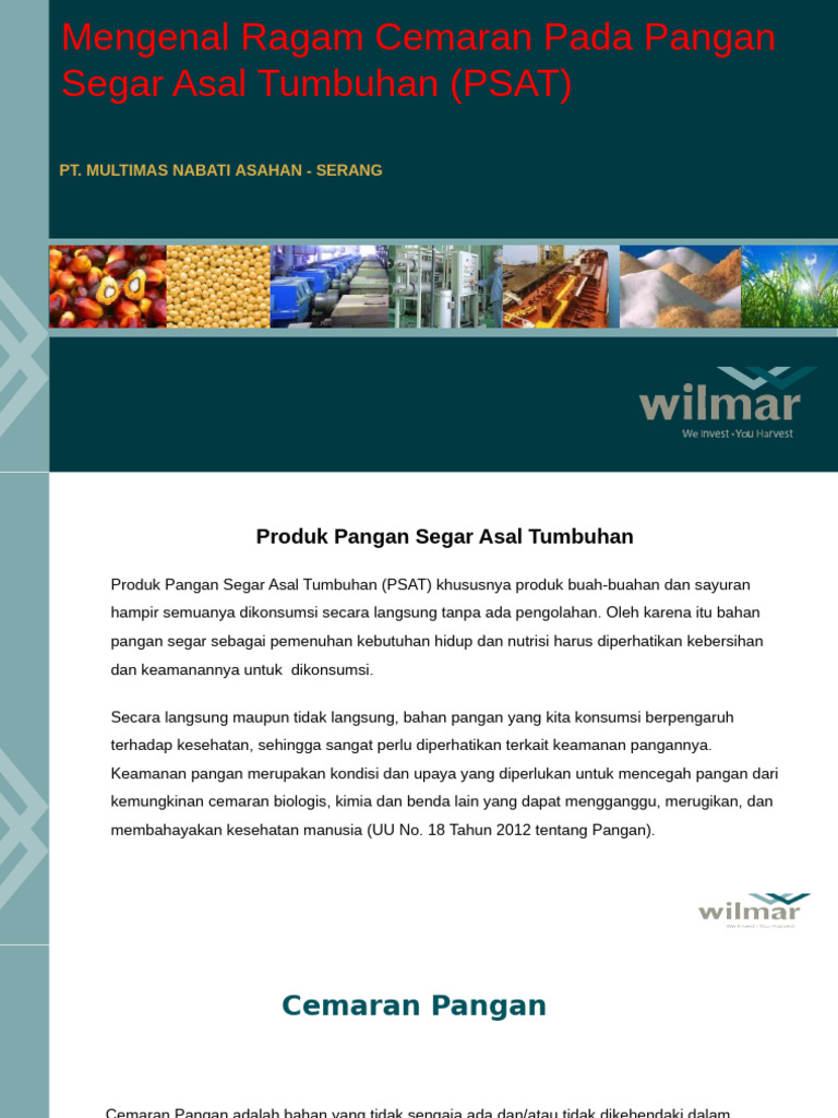 Food Safety-Cemaran Pada Pangan Segar Asal Tumbuhan | PDF