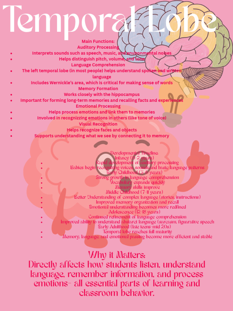 Frontal Lobe | PDF | Memory | Temporal Lobe