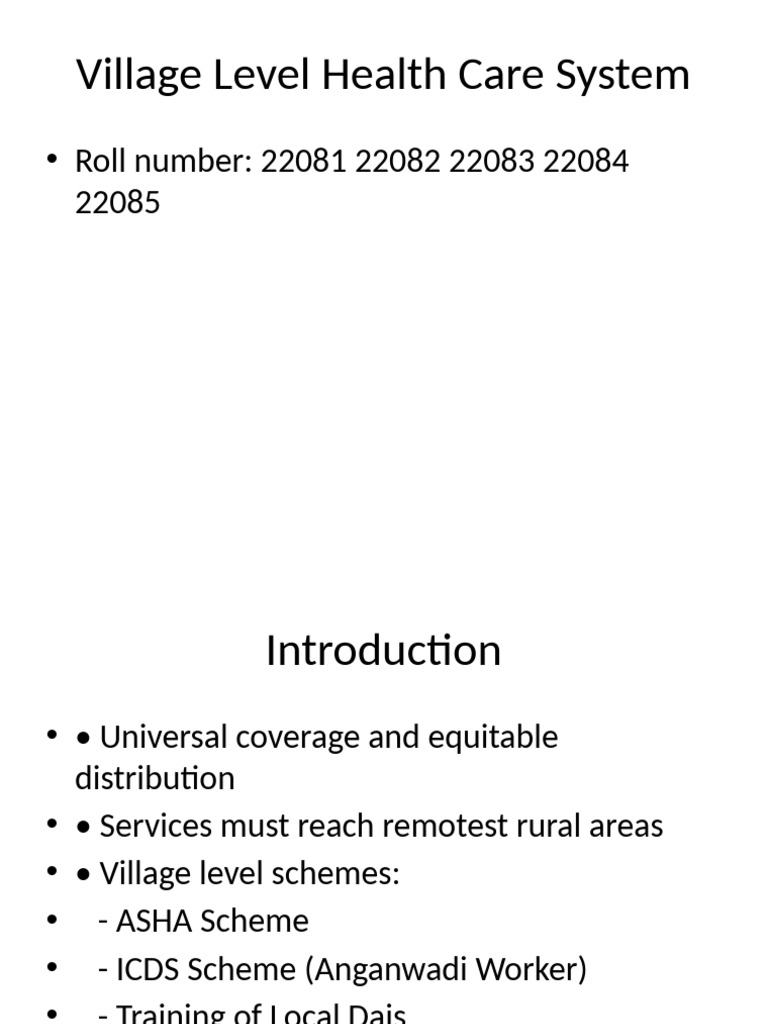 Village Health Care System Overview | PDF