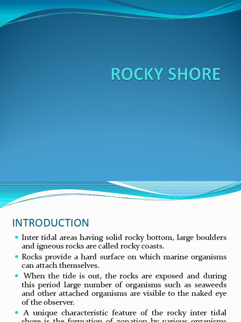 10.-Rocky-shore | PDF | Physical Geography | Hydrography