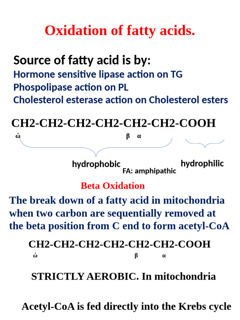oxidation of FA | PDF | Fatty Acid | Metabolism