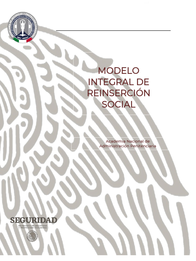 Modelo Integral de Reinserción Social y anexos | PDF | Prisión ...