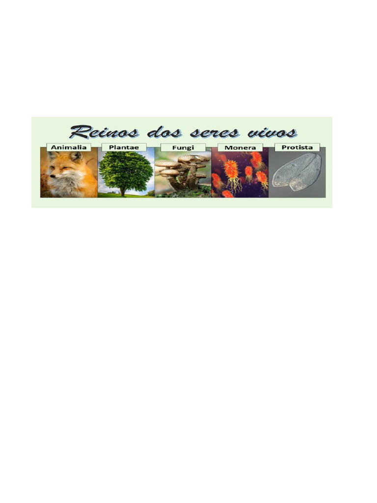 Classificação dos Seres Vivos em 5 Reinos | PDF | Plantas | Fungo