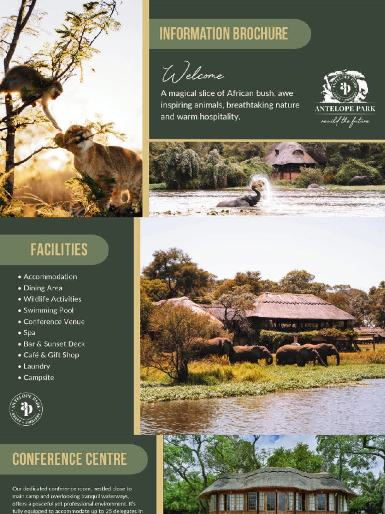 AP Information Brochure 2025 | PDF
