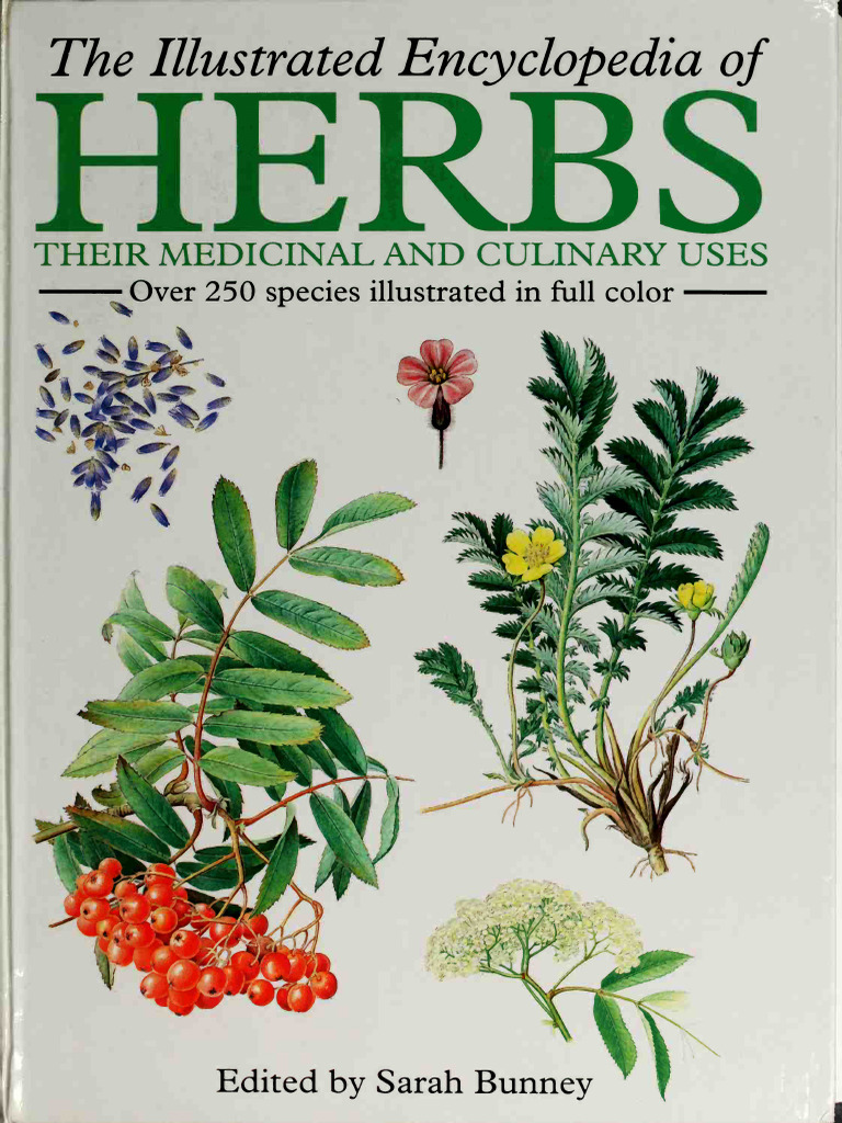 Medicinal and Culinary Herbs Guide | PDF | Medicinal Plants