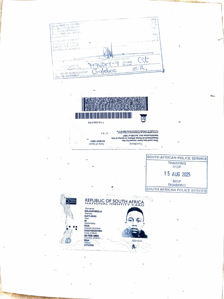 Identify Card (2) | PDF