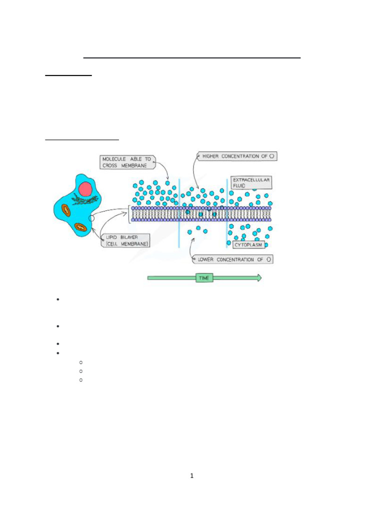 Movement of Substances Notes | PDF | Osmosis | Diffusion