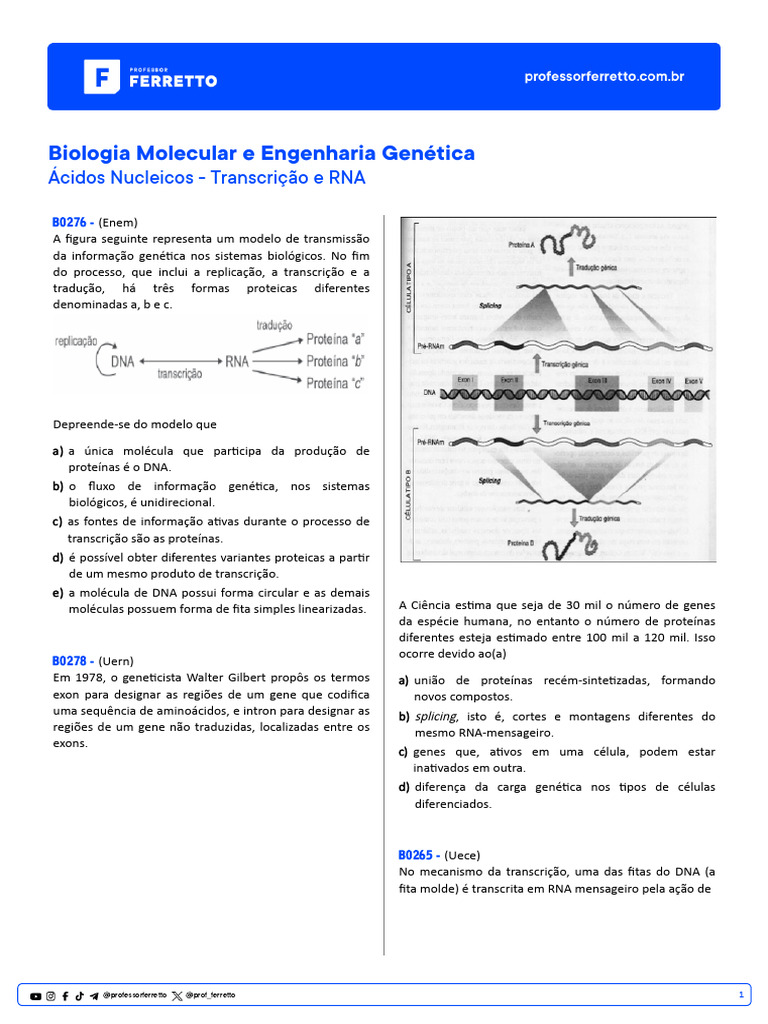 Questions Biologia Biologia Molecular e Engenharia Genetica Acidos ...
