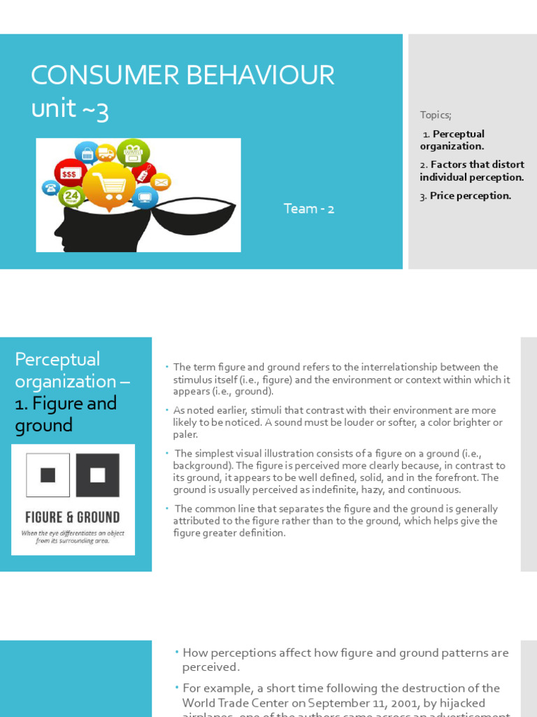Understanding Consumer Perception Factors | PDF | Perception | Bias