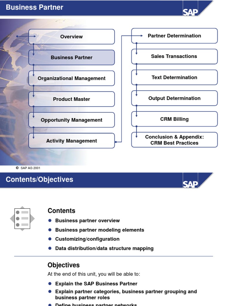 SAP Business Partner Overview and Roles | PDF | Customer Relationship ...
