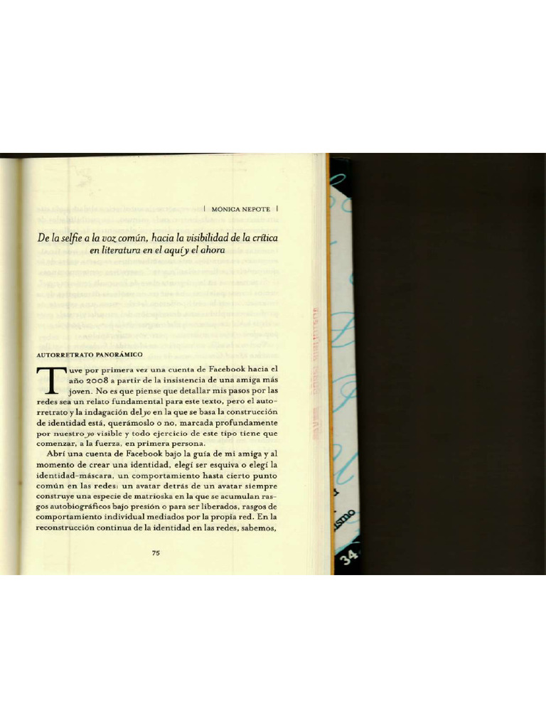 De La Selfie a La Voz Común_Nepote_2015 | PDF