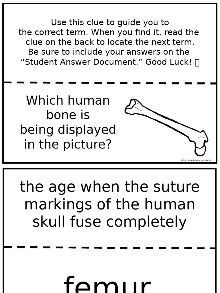 Forensic Anthropology Clue Game Guide | PDF