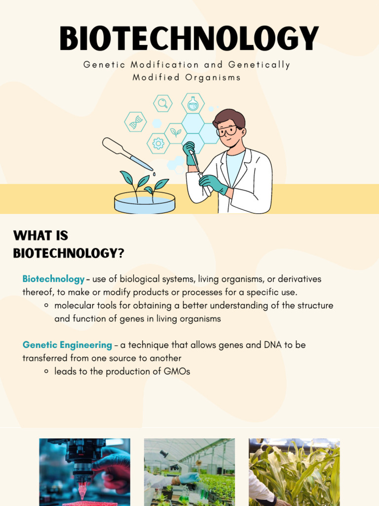 Biotechnology | PDF | Genetically Modified Organism | Genetic Engineering