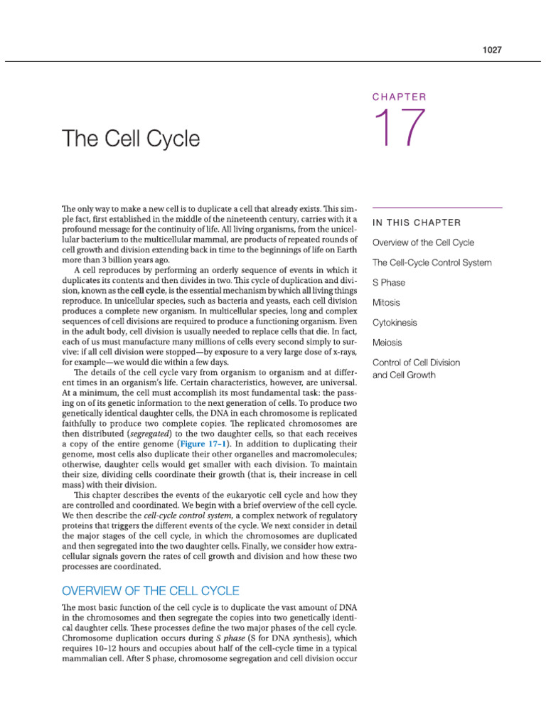 Chapter 17- The Cell Cycle (1) | PDF