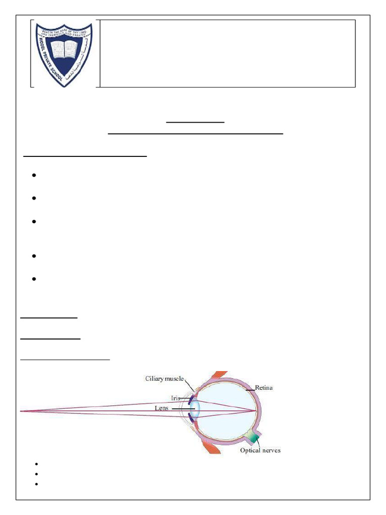Grade 10 Physics: Vision & Color Science | PDF | Rainbow | Color