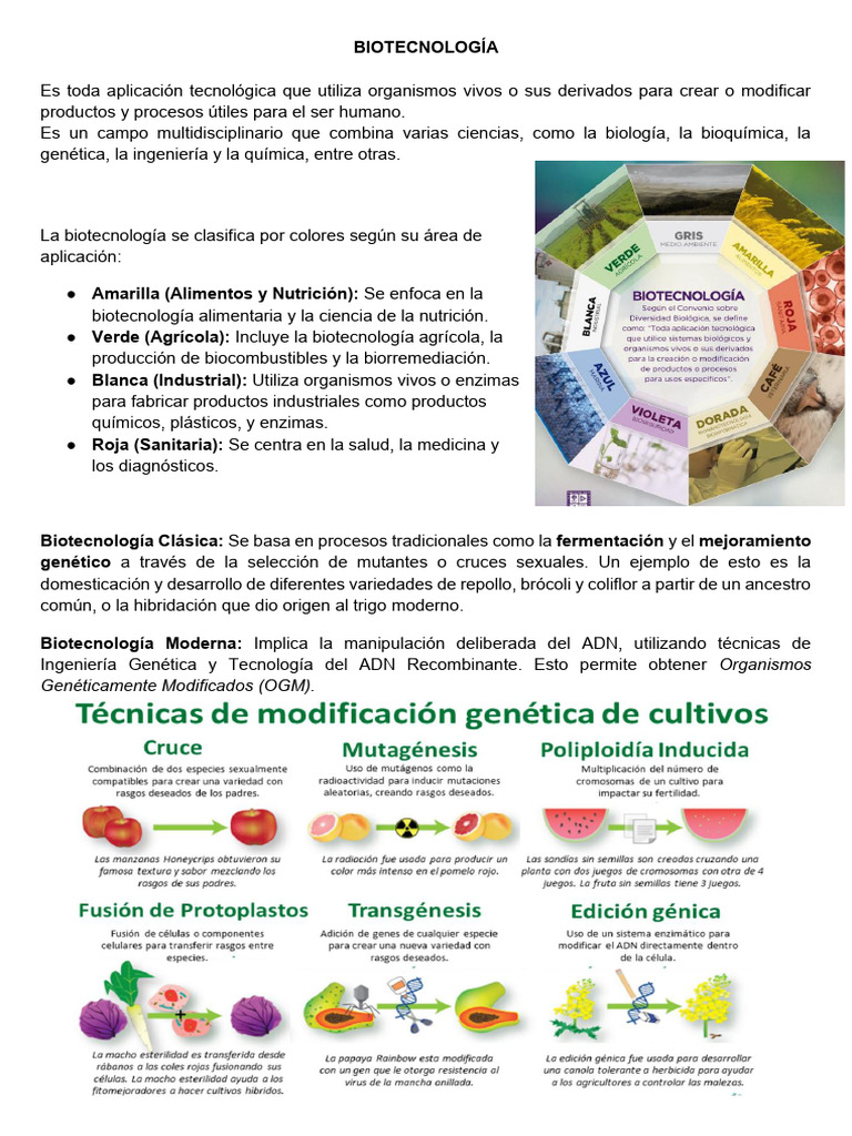 Biotecnología: Aplicaciones y Tipos | PDF | Biotecnología | Organismo ...