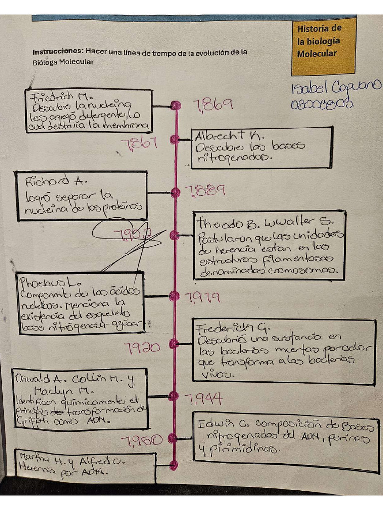 Cuaderno de tareas | PDF